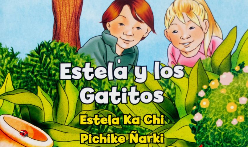 Lanzan inédito libro de cuentos bilingüe castellano-mapuzungun, "Estela ...